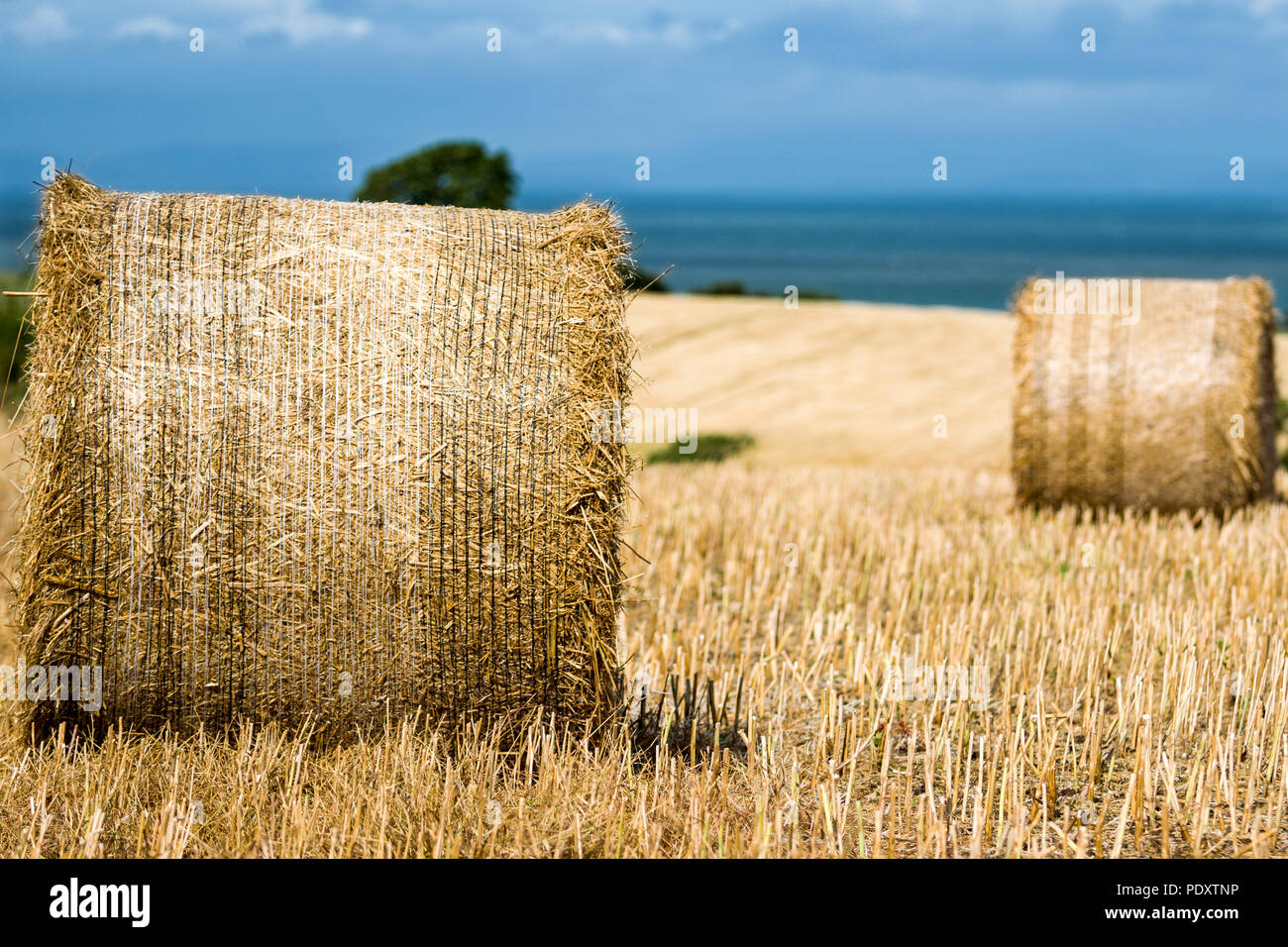 Solway coast aonb hi-res stock photography and images - Alamy