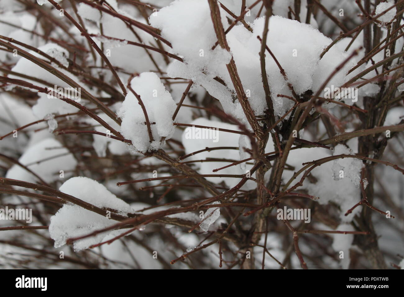 First Snow Fall Stock Photo - Alamy