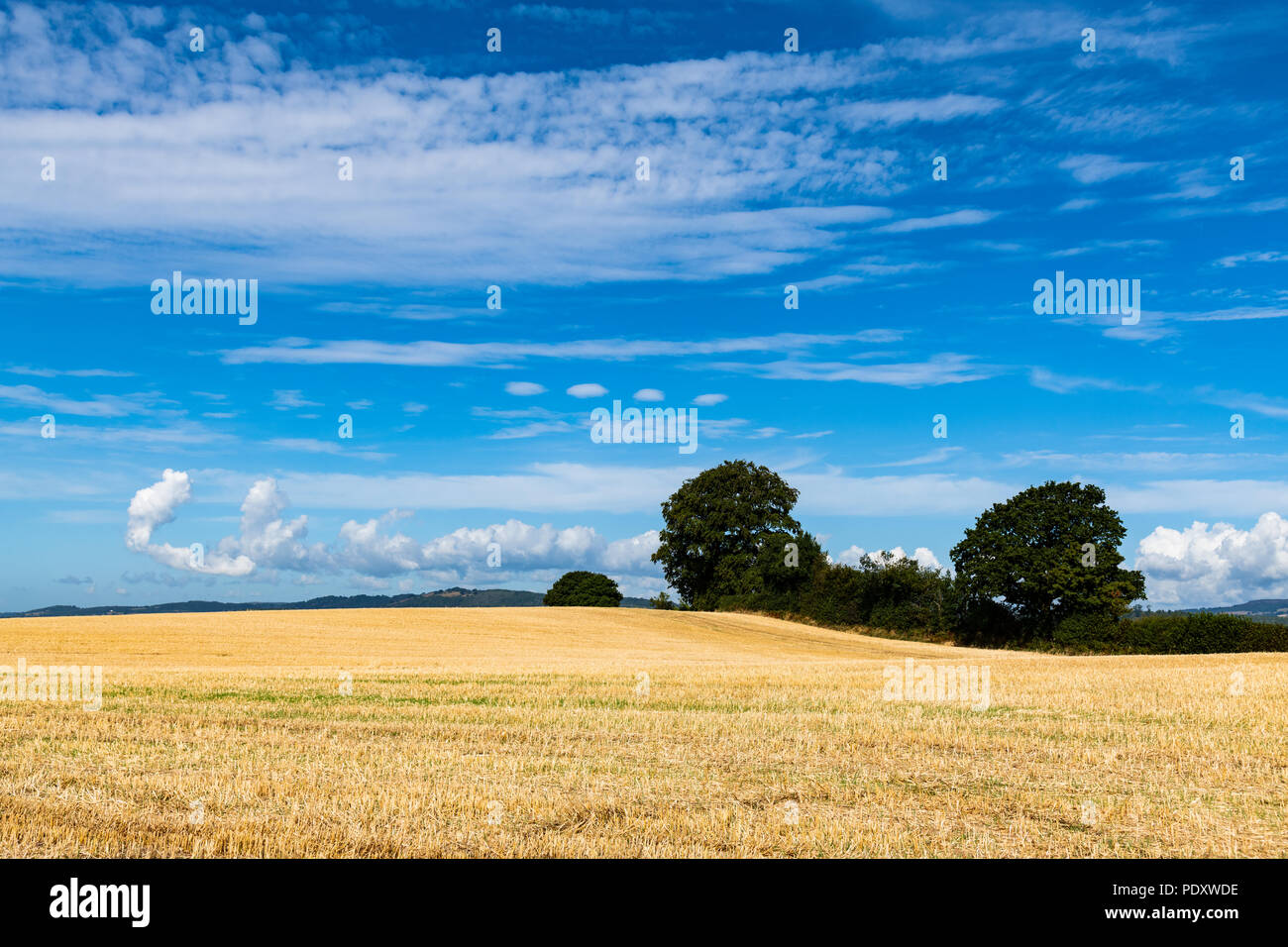 Strange cloud formations over a wheat field in Wales Stock Photo - Alamy