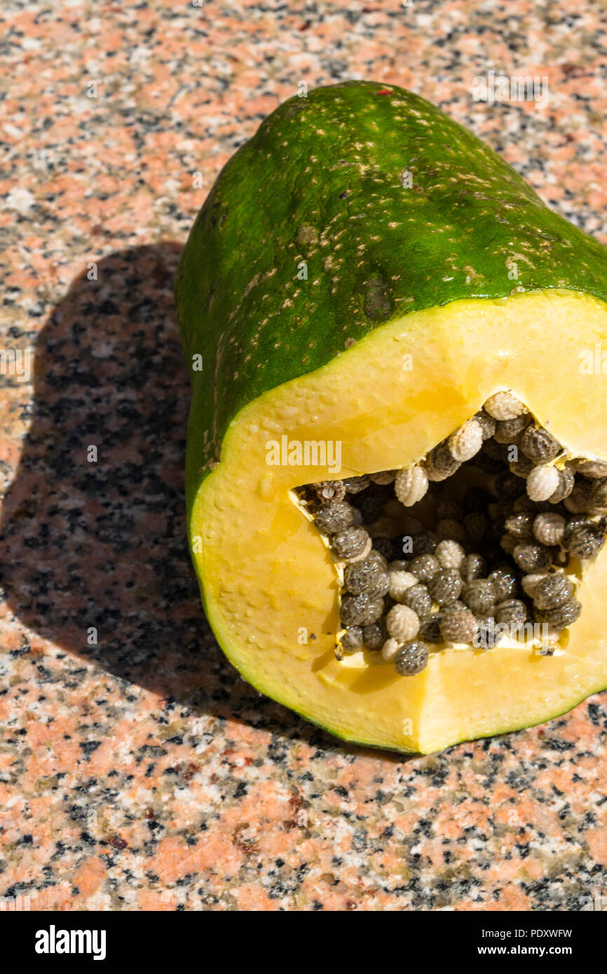 raw delicious halved papaya fruit with star of pit Stock Photo - Alamy