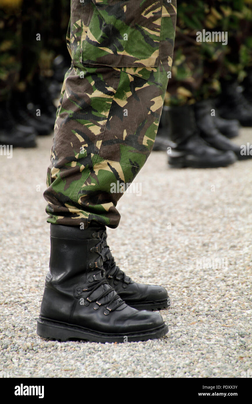 Soldiers standing in formation during a military parade Stock Photo - Alamy