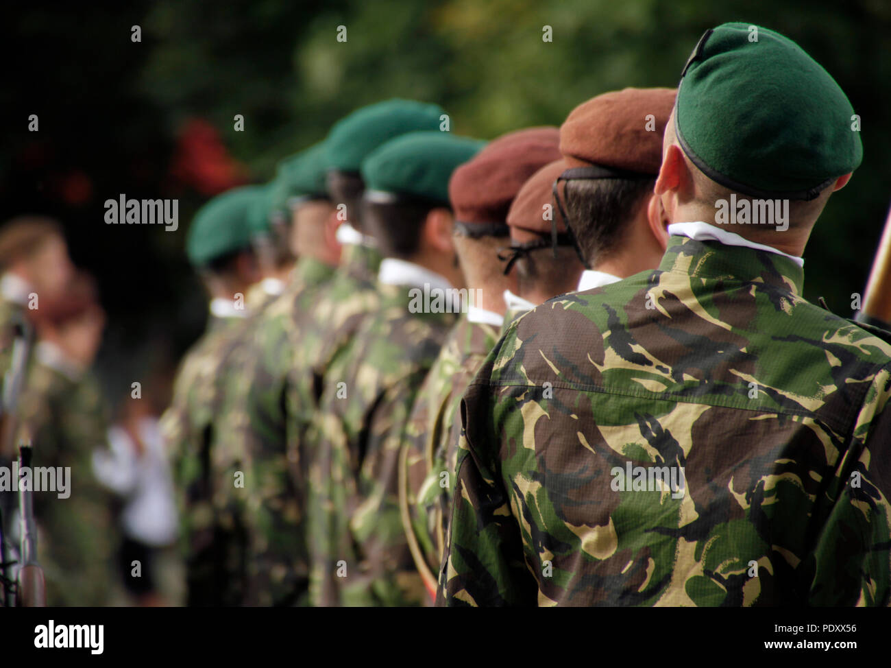 Soldiers standing in formation during a military parade Stock Photo - Alamy