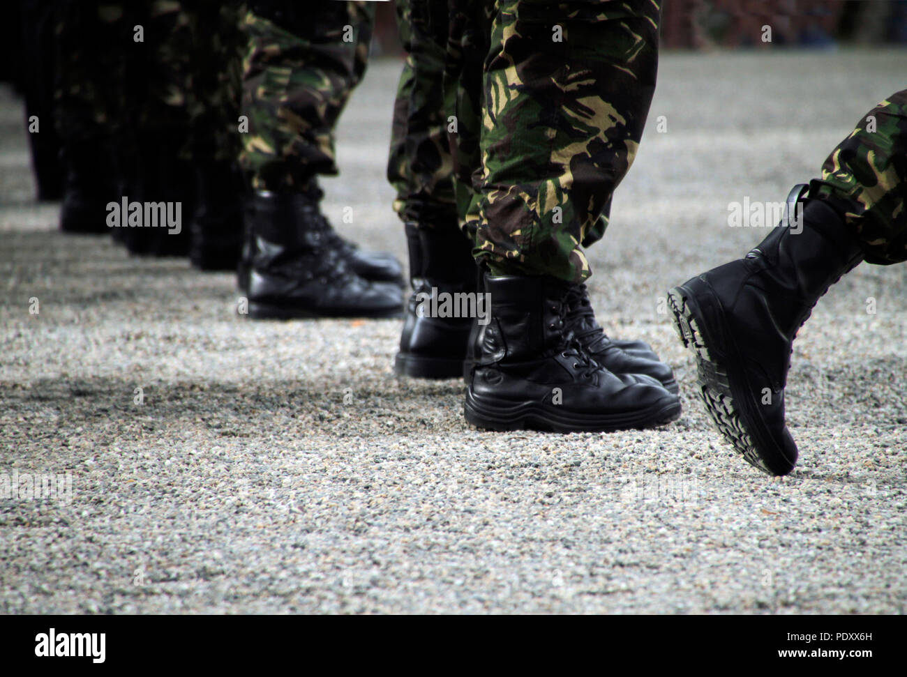 Soldiers standing in formation during a military parade Stock Photo - Alamy