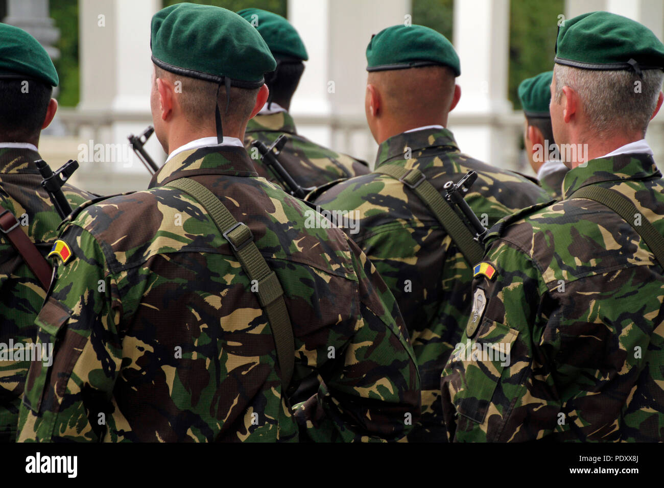 Soldiers standing in formation during a military parade Stock Photo - Alamy
