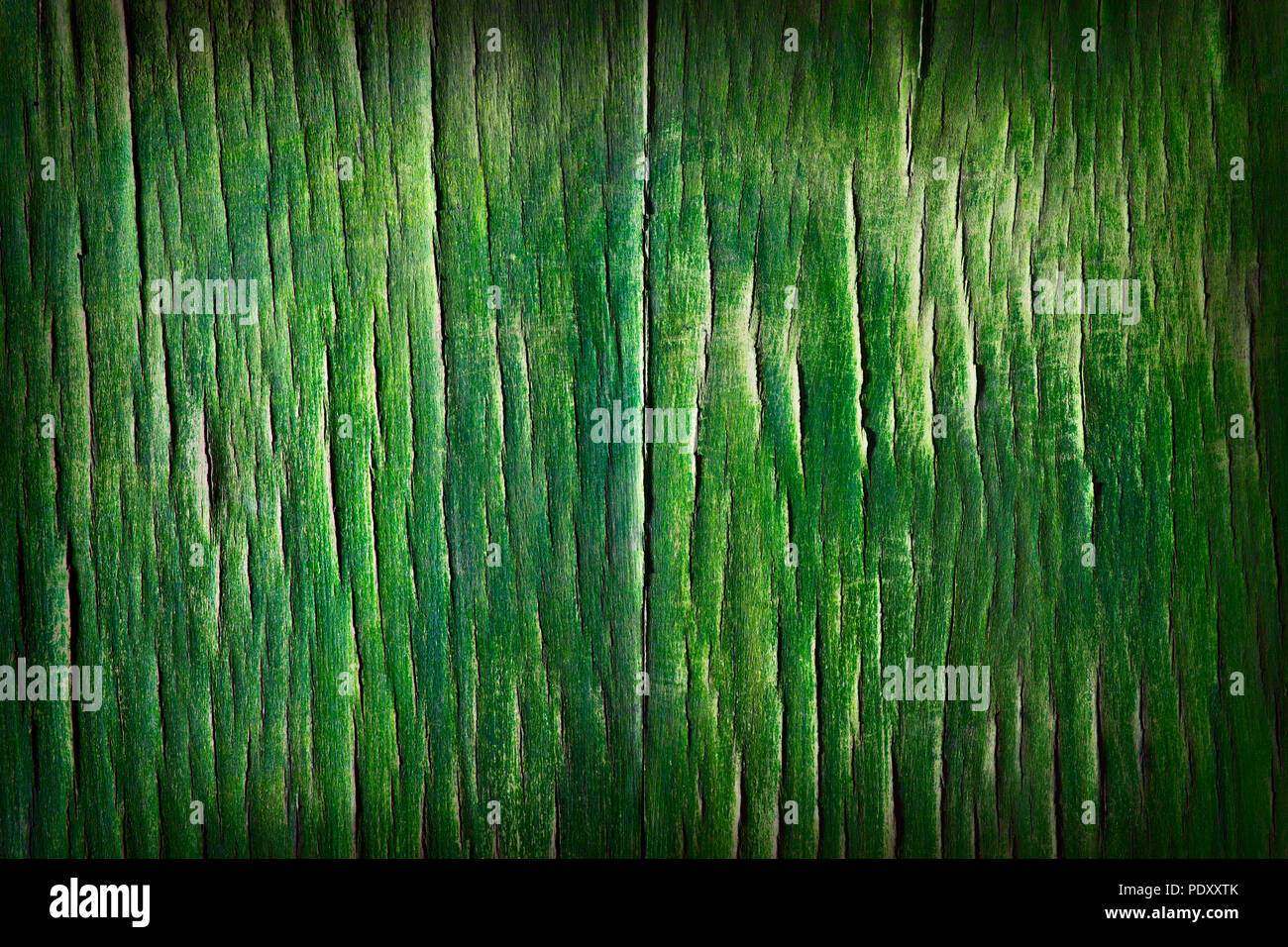 Old wood texture. Abstract background. Green color Stock Photo - Alamy