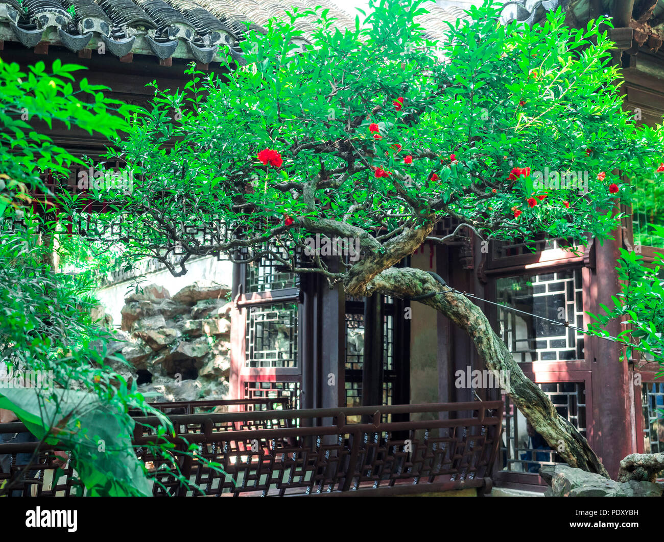 Traditional chinese building with ornate roof and red windows at Yu ...