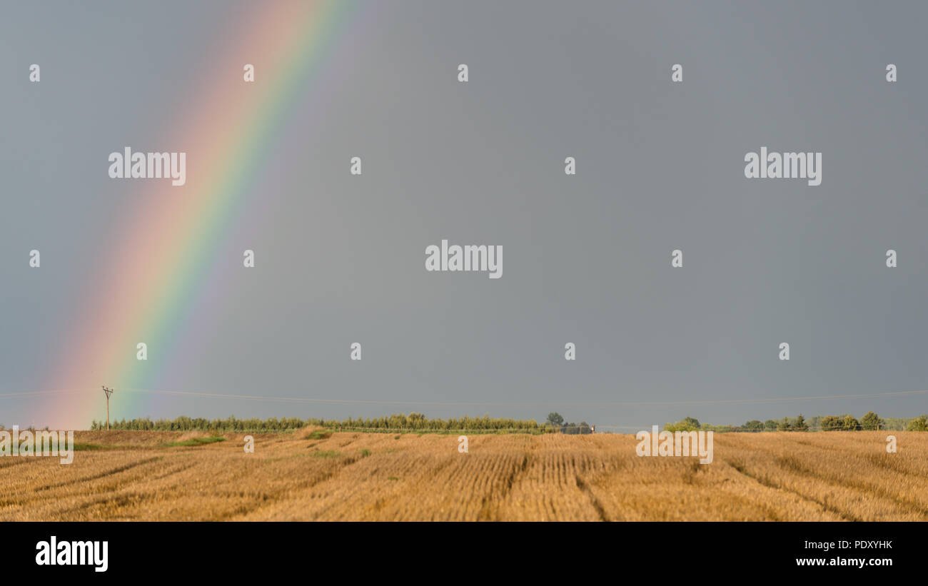 Rainbow over a field on a hot summer stormy day with a dark sky in the ...