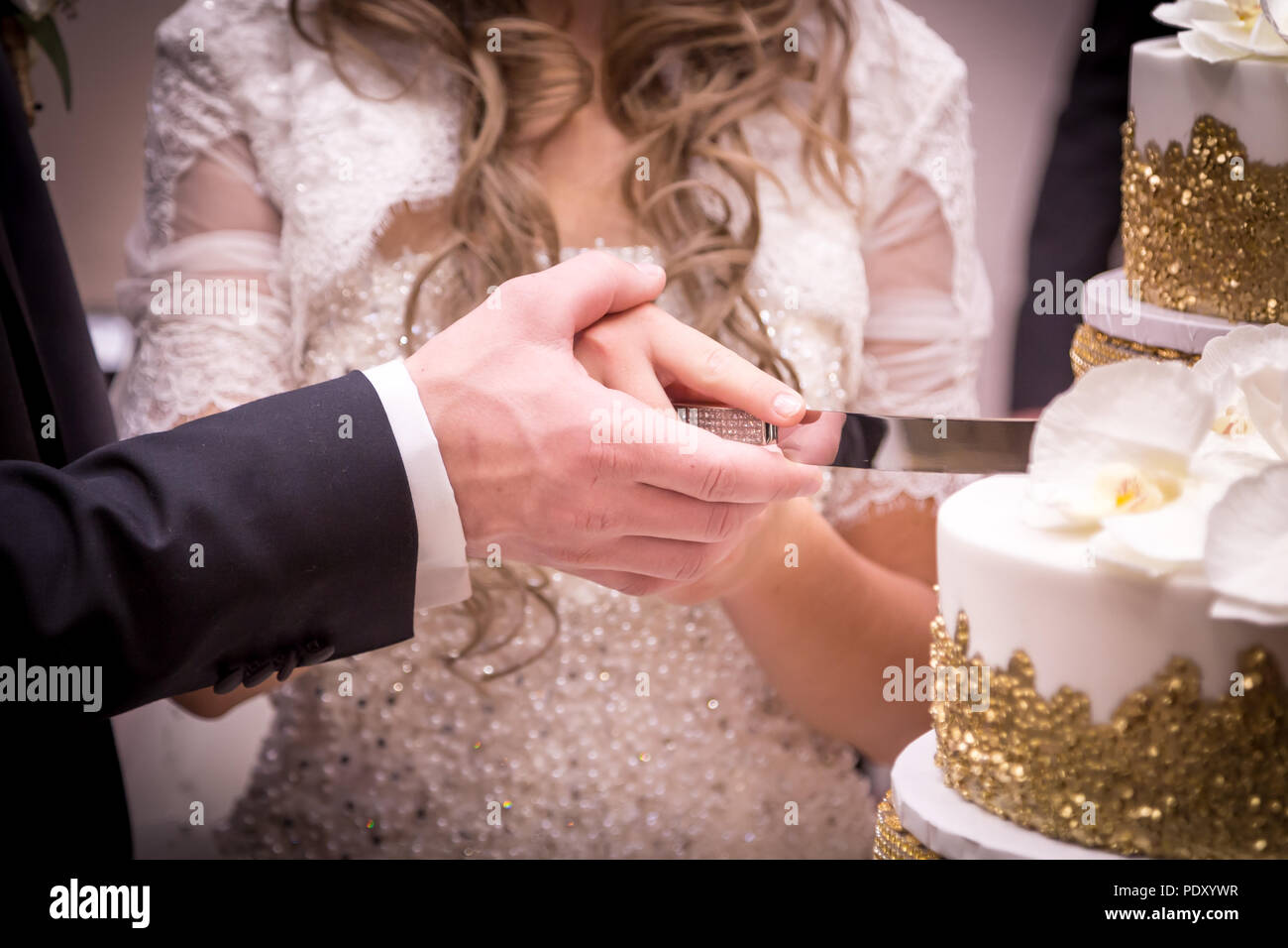 Close-up of a newlywed couple's hands cutting their wedding cake Stock ...