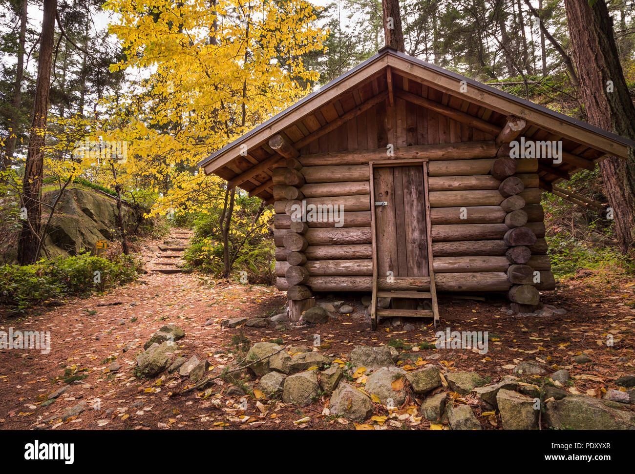 Old cabin in woods hi-res stock photography and images - Alamy