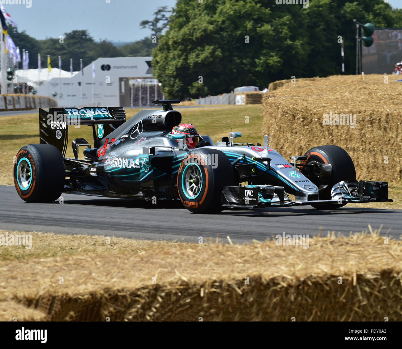 Patrick Friesacher, Red Bull Racing-Renault RB8, Contemporary Formula ...