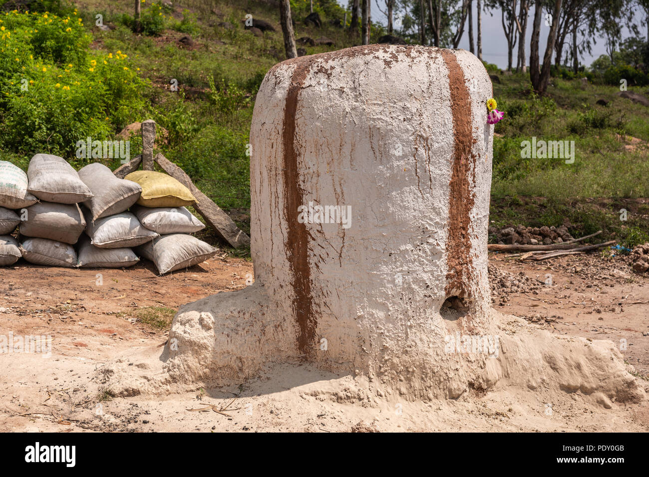 Hunsur, Karnataka, India - November 1, 2013: Closeup of white and brown ...