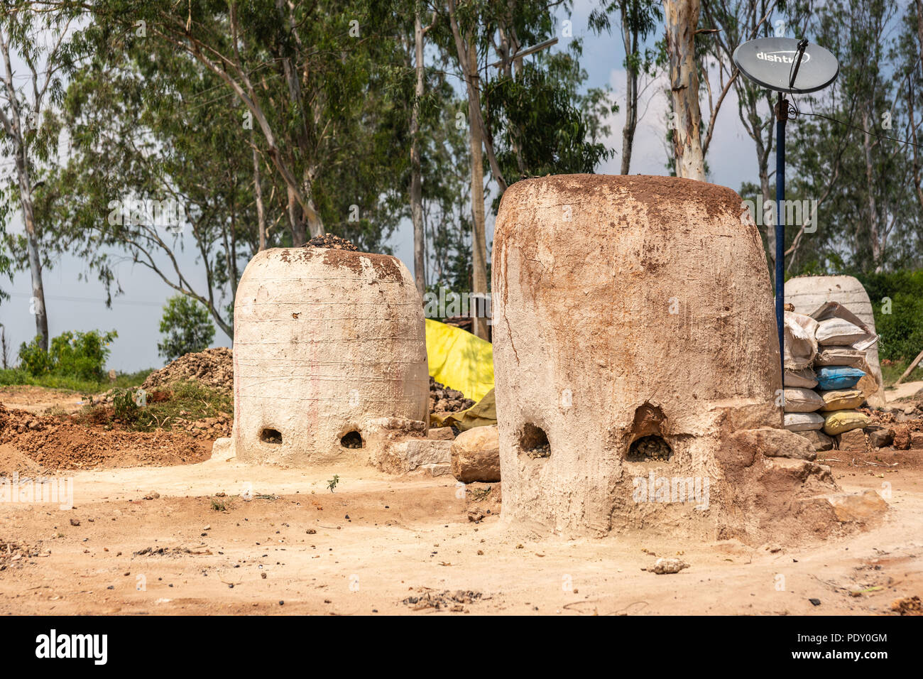 Hunsur, Karnataka, India - November 1, 2013: Two brown and white ...