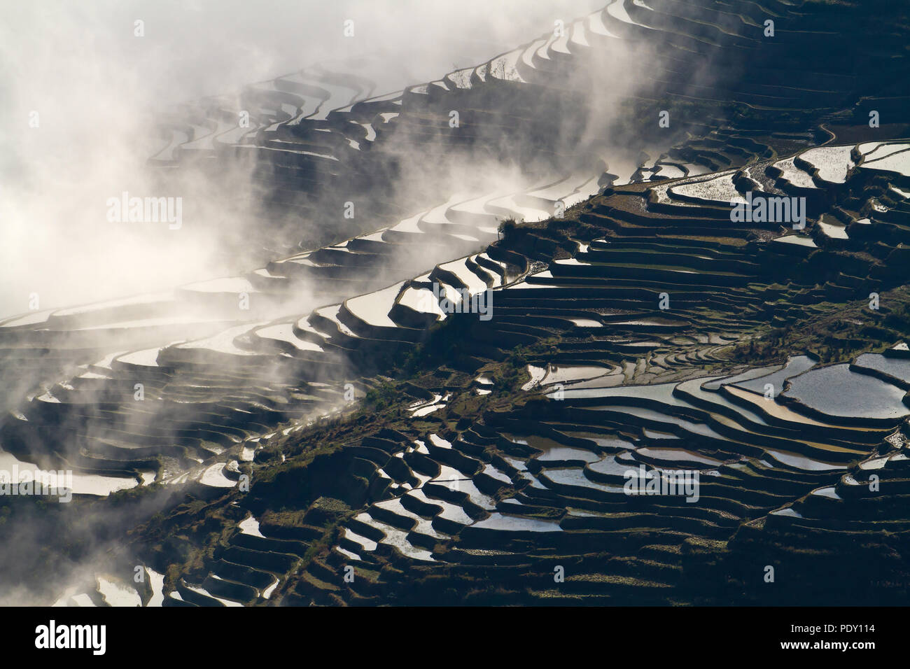 Rice terraces in the mountainous region of Yuanyang, in southern Yunnan ...