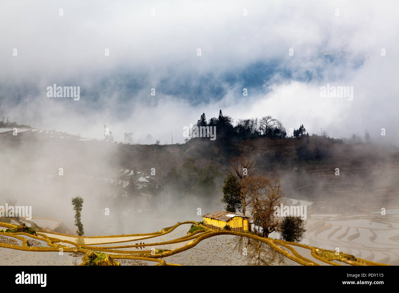 Rice terraces in the mountainous region of Yuanyang, in southern Yunnan ...