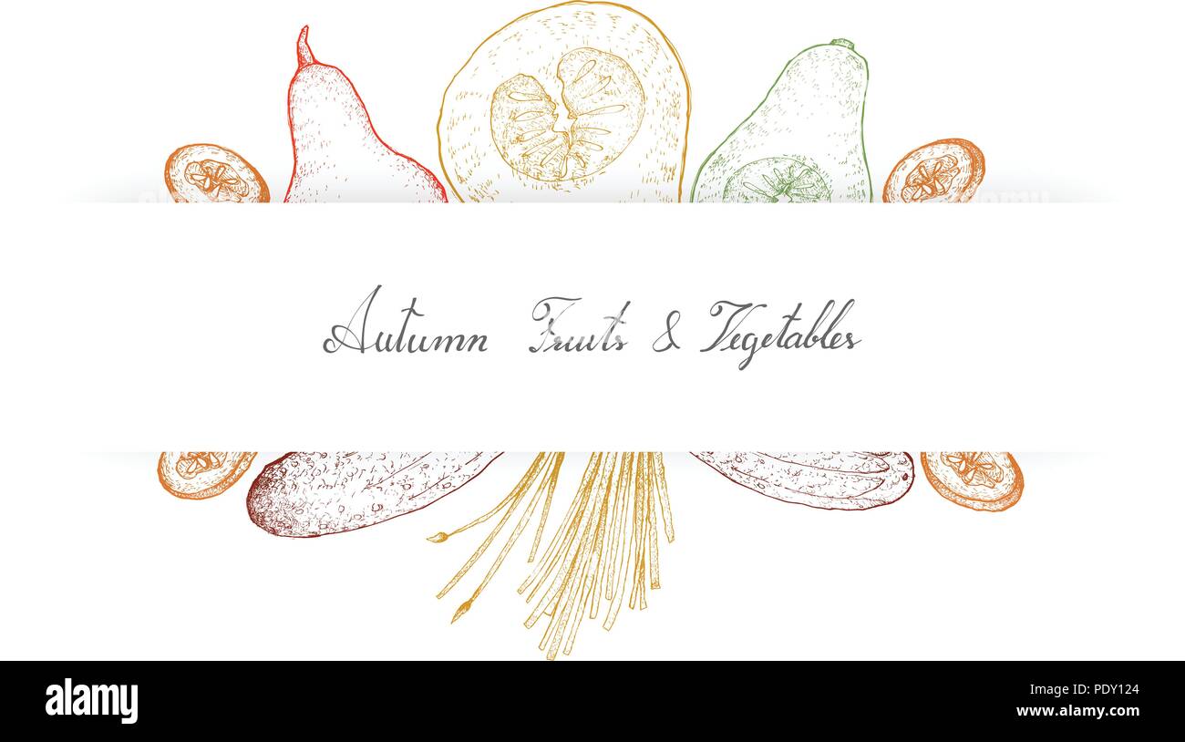 Autumn Vegetables, Illustration of Hand Drawn Sketch Delicious Fresh ...