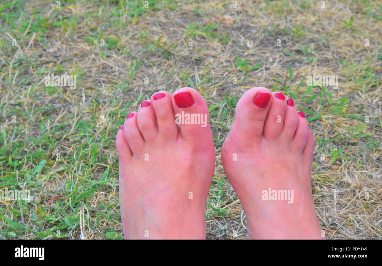 Female feet with red pedicure on grass Stock Photo - Alamy