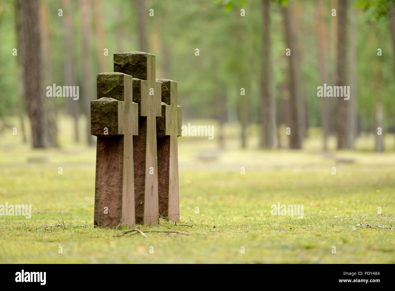 Halbe High Resolution Stock Photography and Images - Alamy