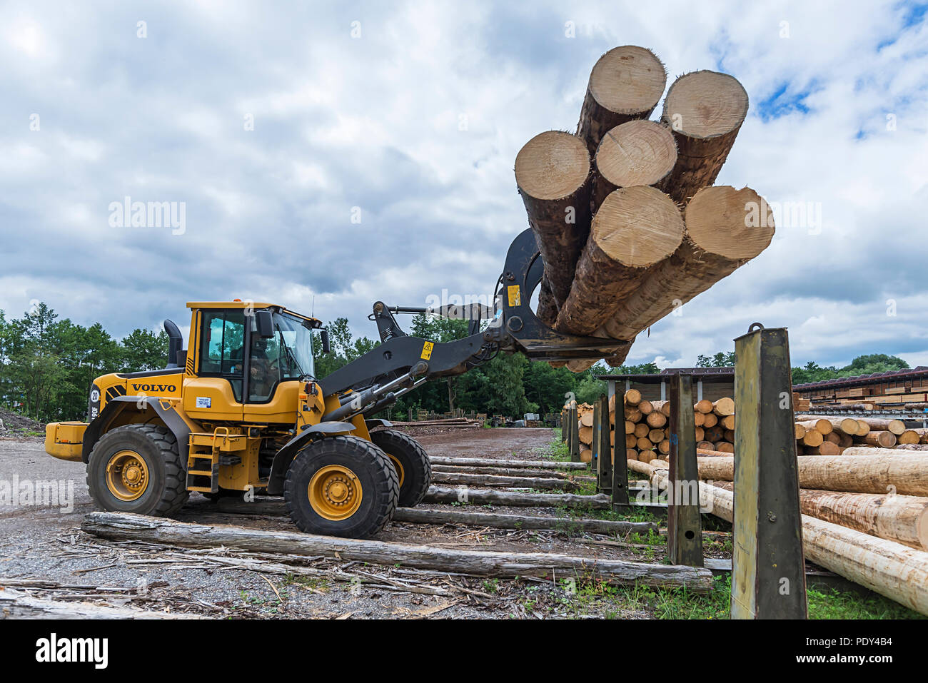 Wheel loader with log wood, sawmill, Bavaria, Germany Stock Photo - Alamy