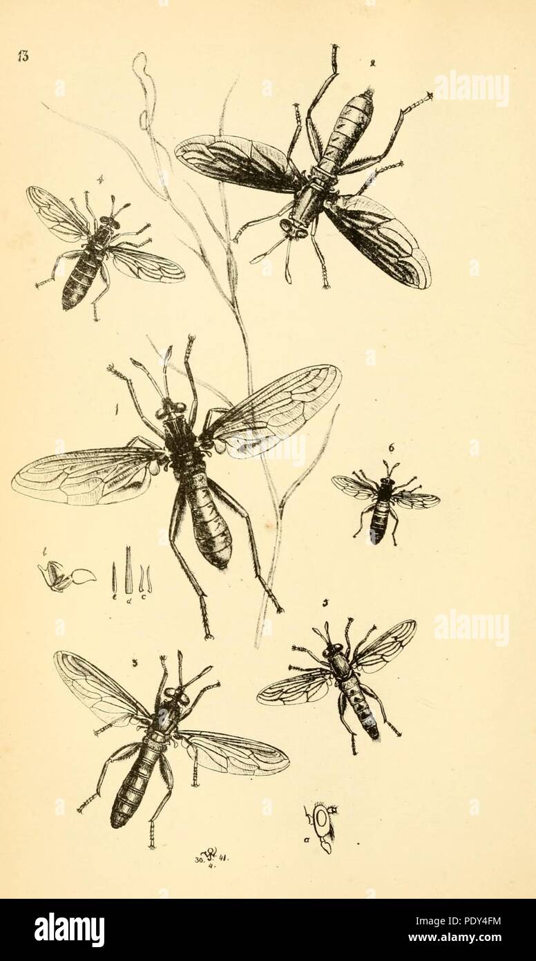 Arcana entomologica, or, Illustrations of new, rare, and interesting ...