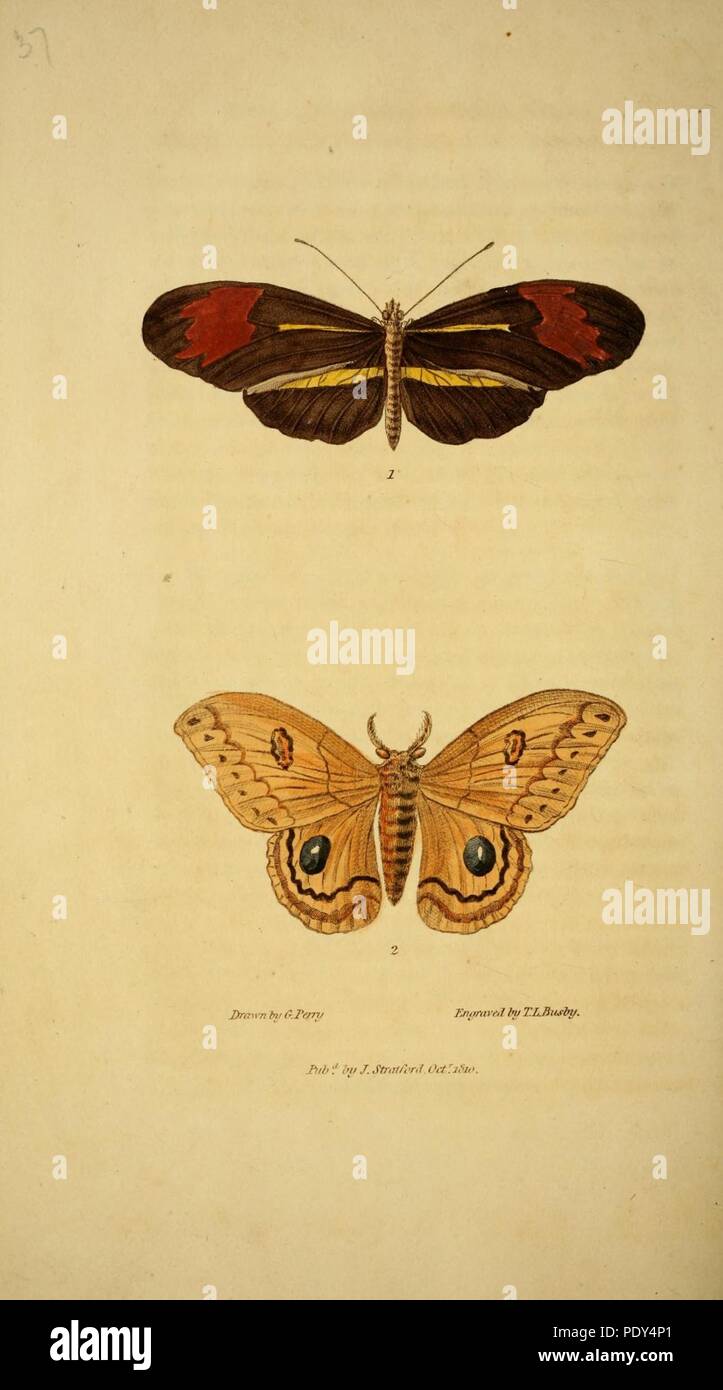 Arcana, or, (Pl. 37 Stock Photo - Alamy