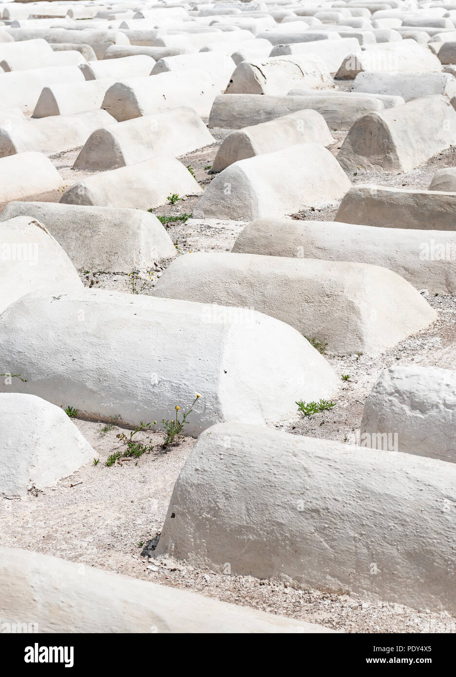 Typical white graves, old Jewish cemetery Miaara, Marrakech, Morocco ...