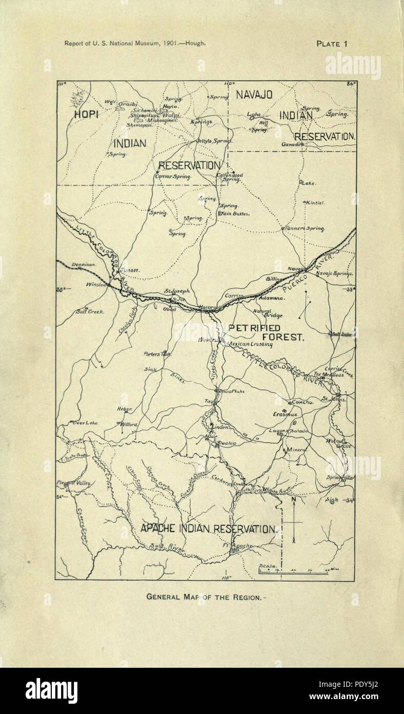 Archeological field work in northeastern Arizona. The Museum-Gates ...