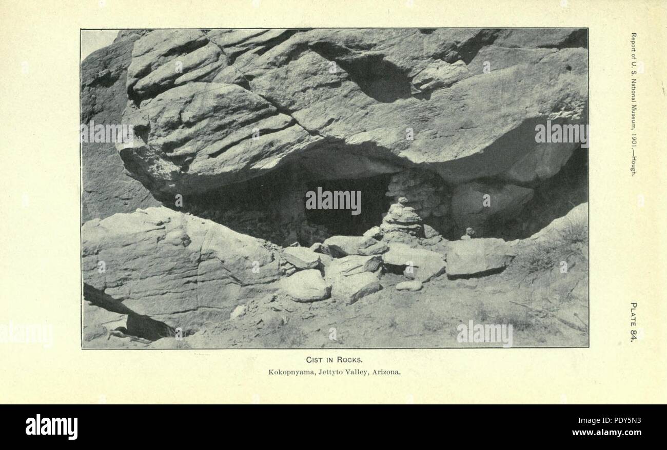 Archeological field work in northeastern Arizona. The Museum-Gates ...