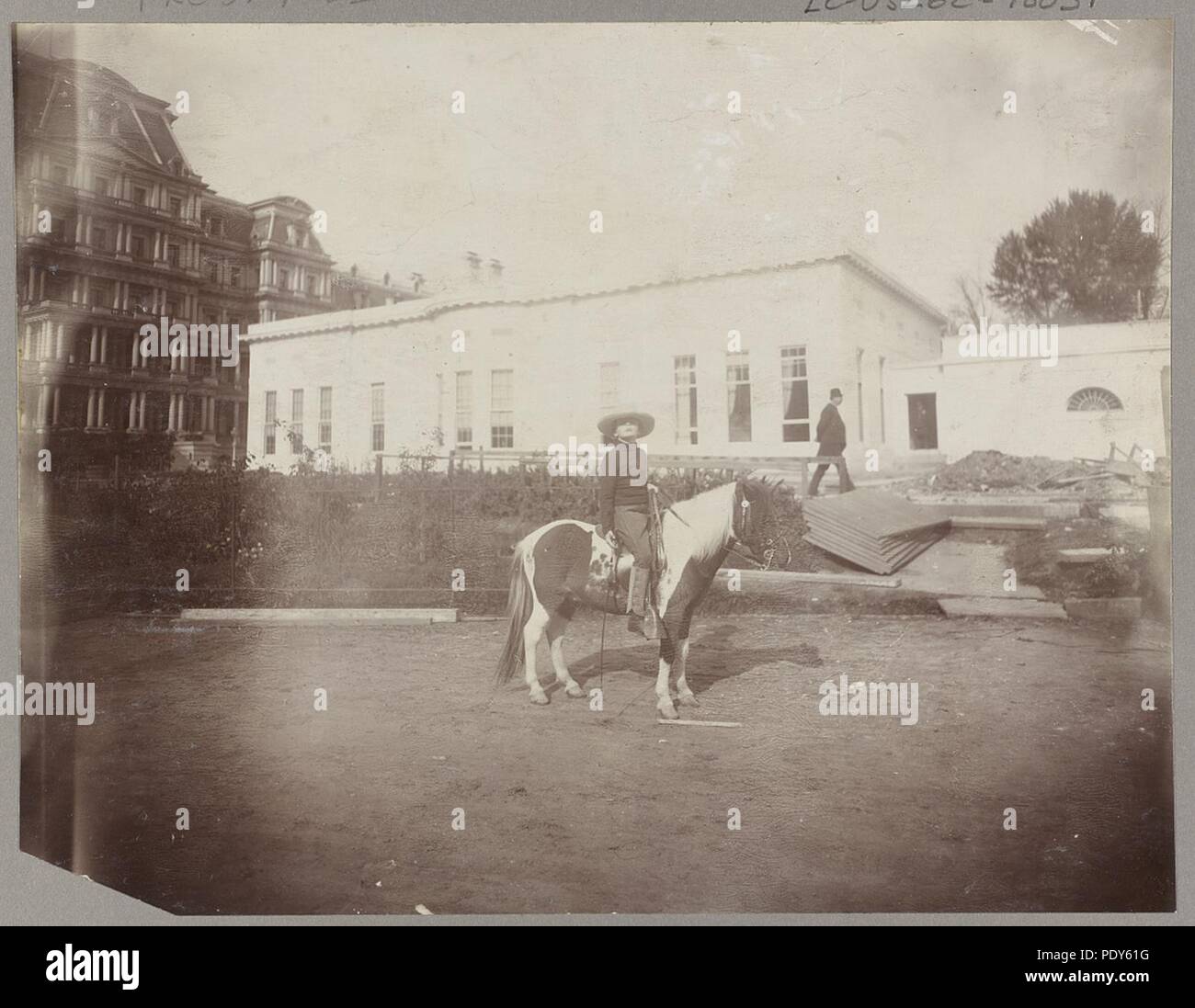 Archie Roosevelt, full-length portrait, on his calico Shetland pony ...