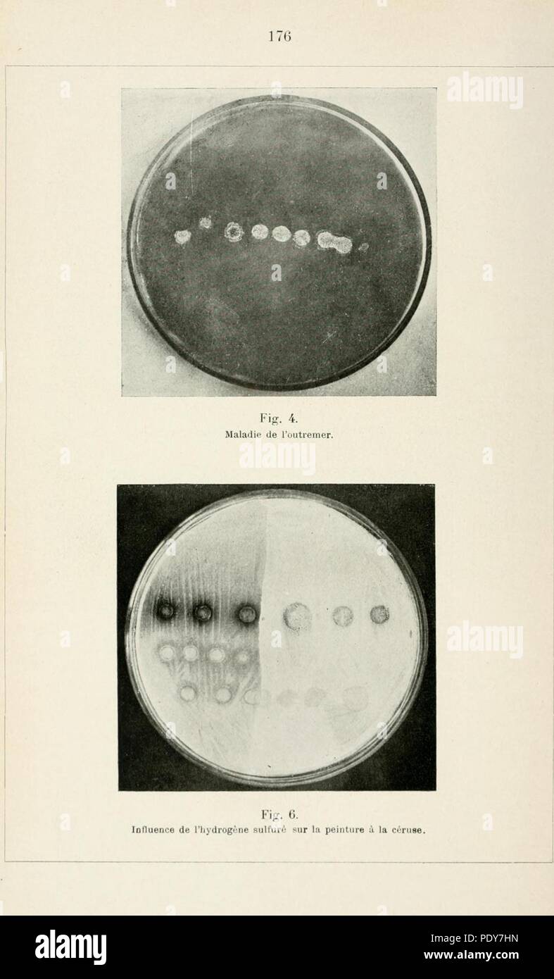 Teyler hi-res stock photography and images - Alamy