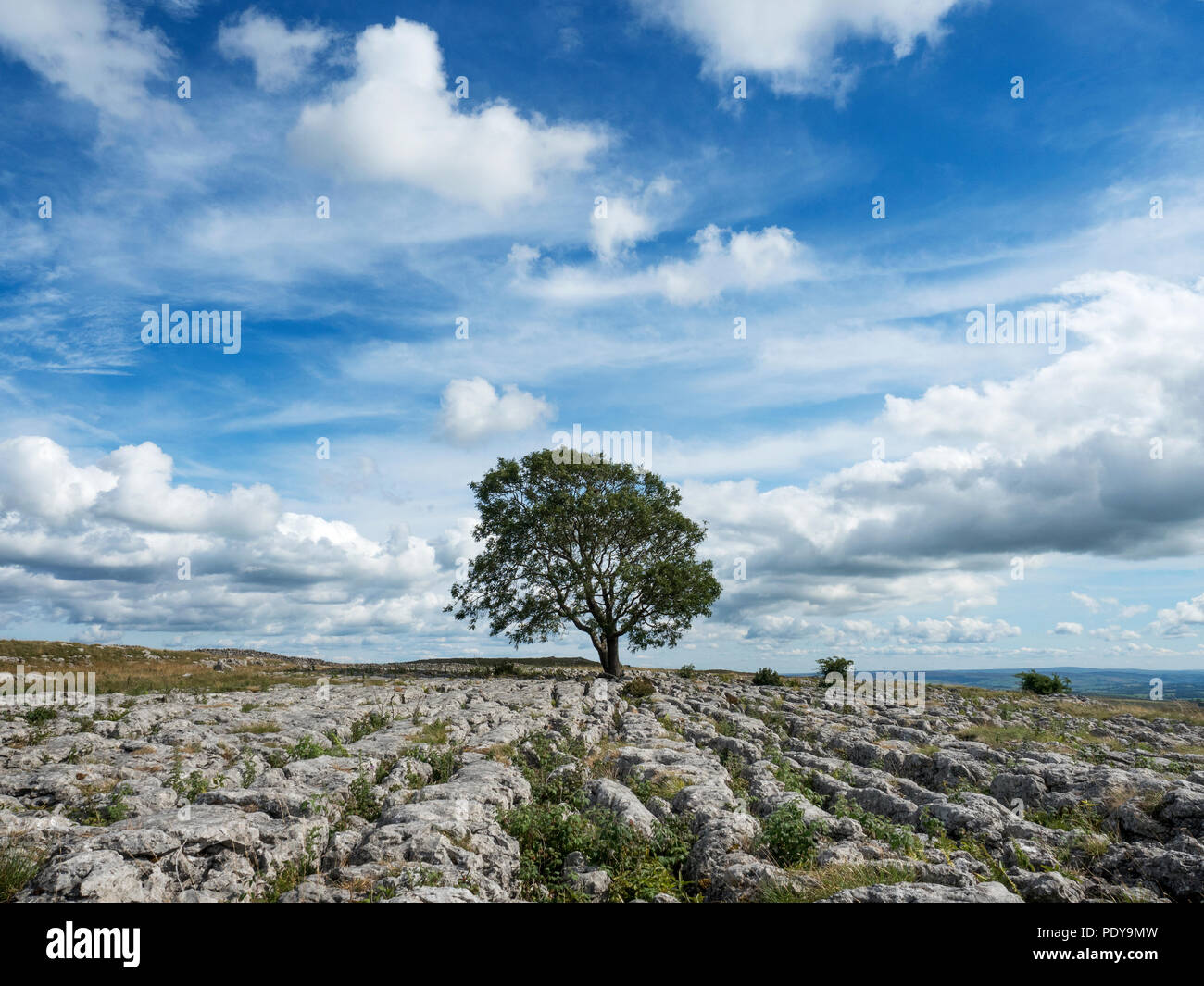 Lone tree cloud formations hi-res stock photography and images - Alamy