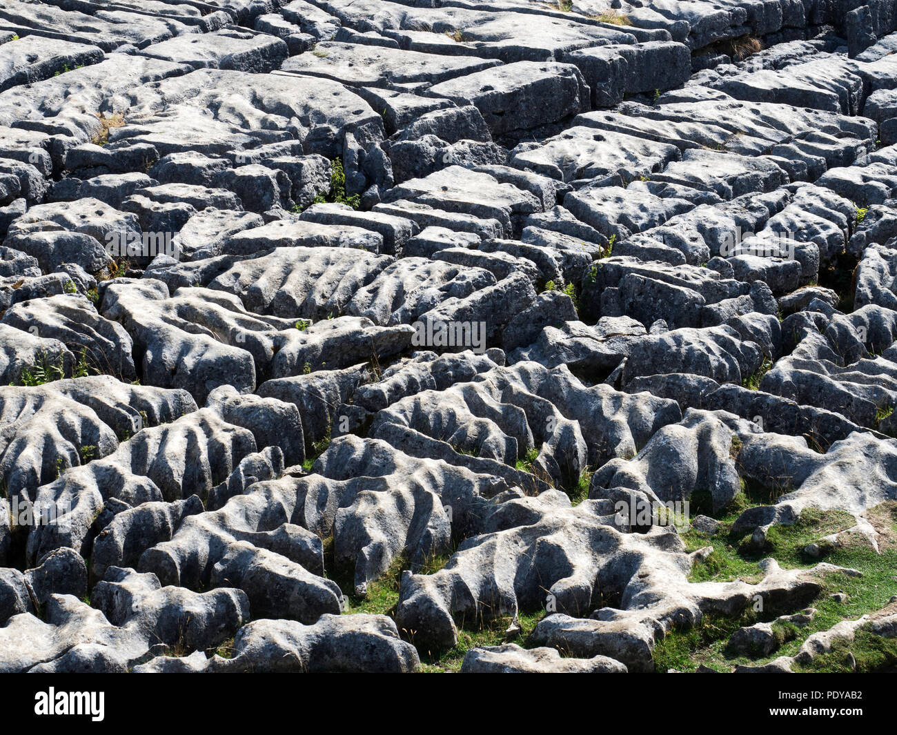 Pattern of clints and grykes in the limestone pavement at Malham Cove ...