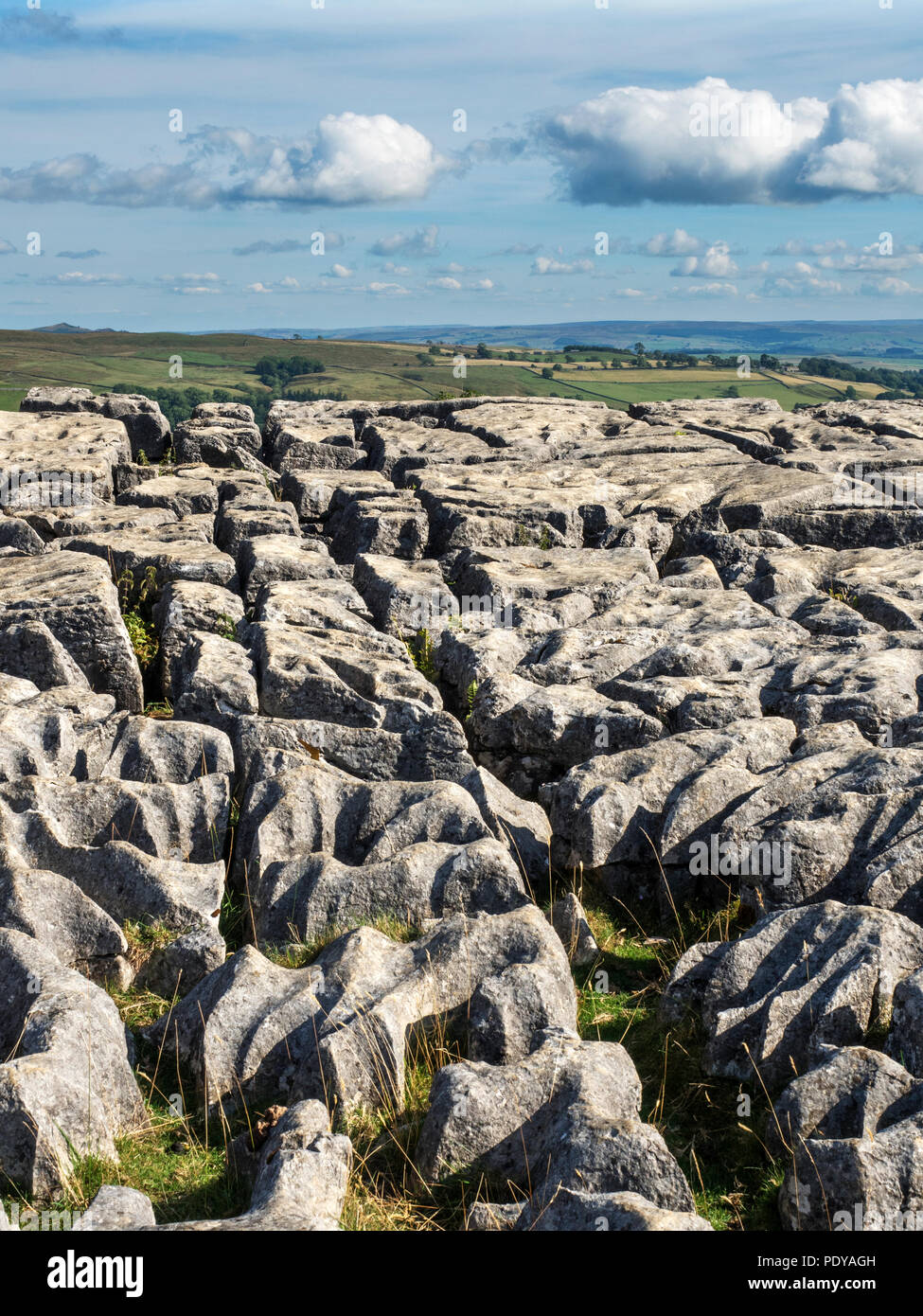 View over limestone pavement at Malham Cove near Malham Yorkshire Dales ...