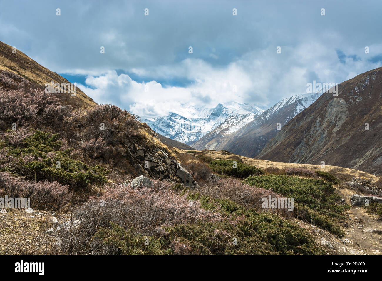 Beautiful landscape in the Himalayas on a spring Sunny day, Nepal Stock ...