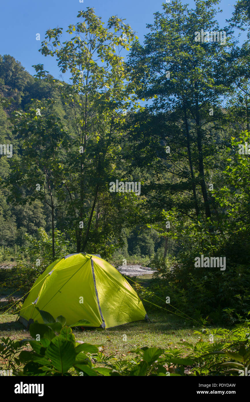 Wet camping yellow tent after the rain in forest Stock Photo - Alamy