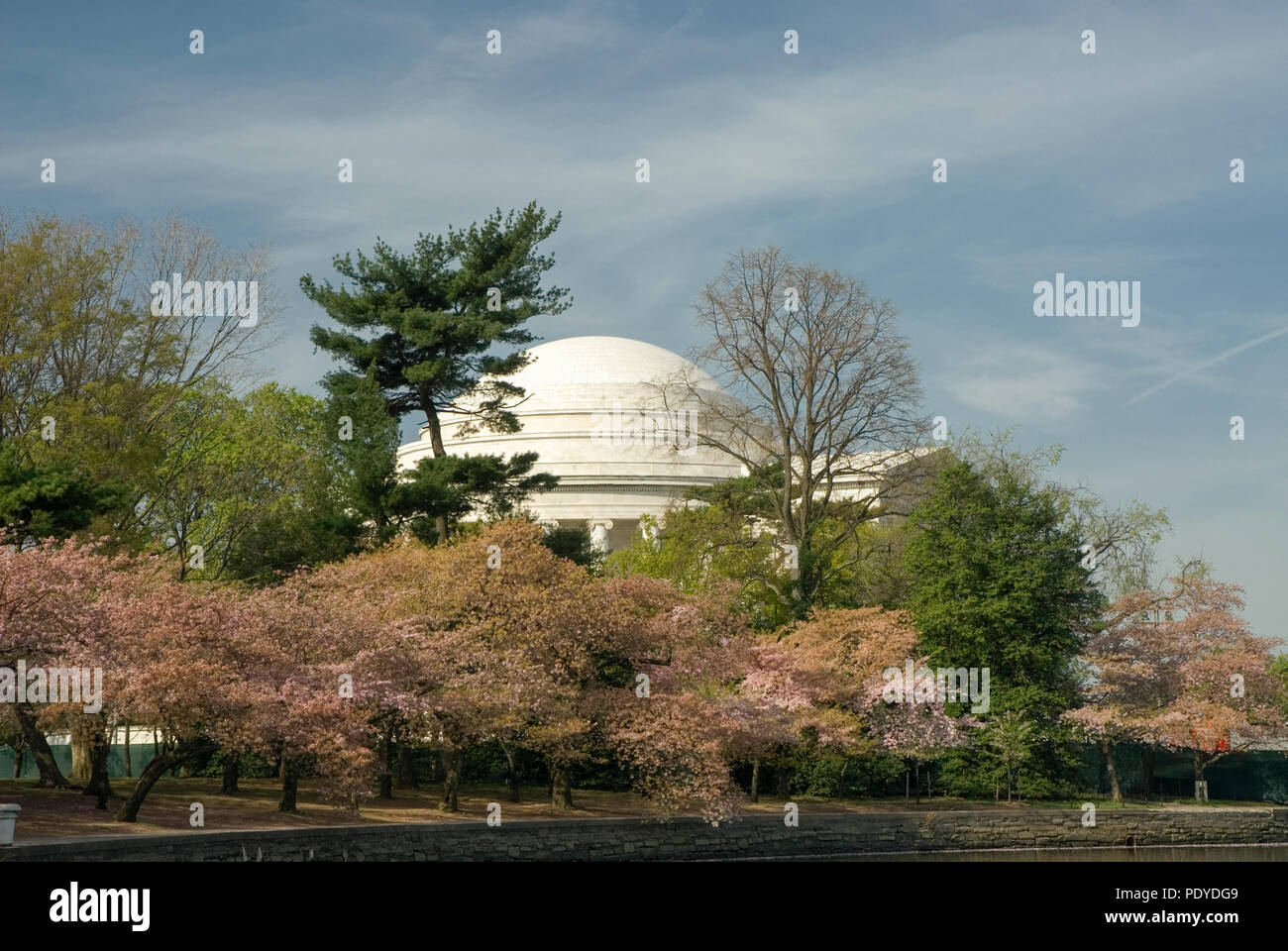 Thomas Jefferson Memorial during Cherry Blossom Festival, Washington D.C Stock Photo - Alamy