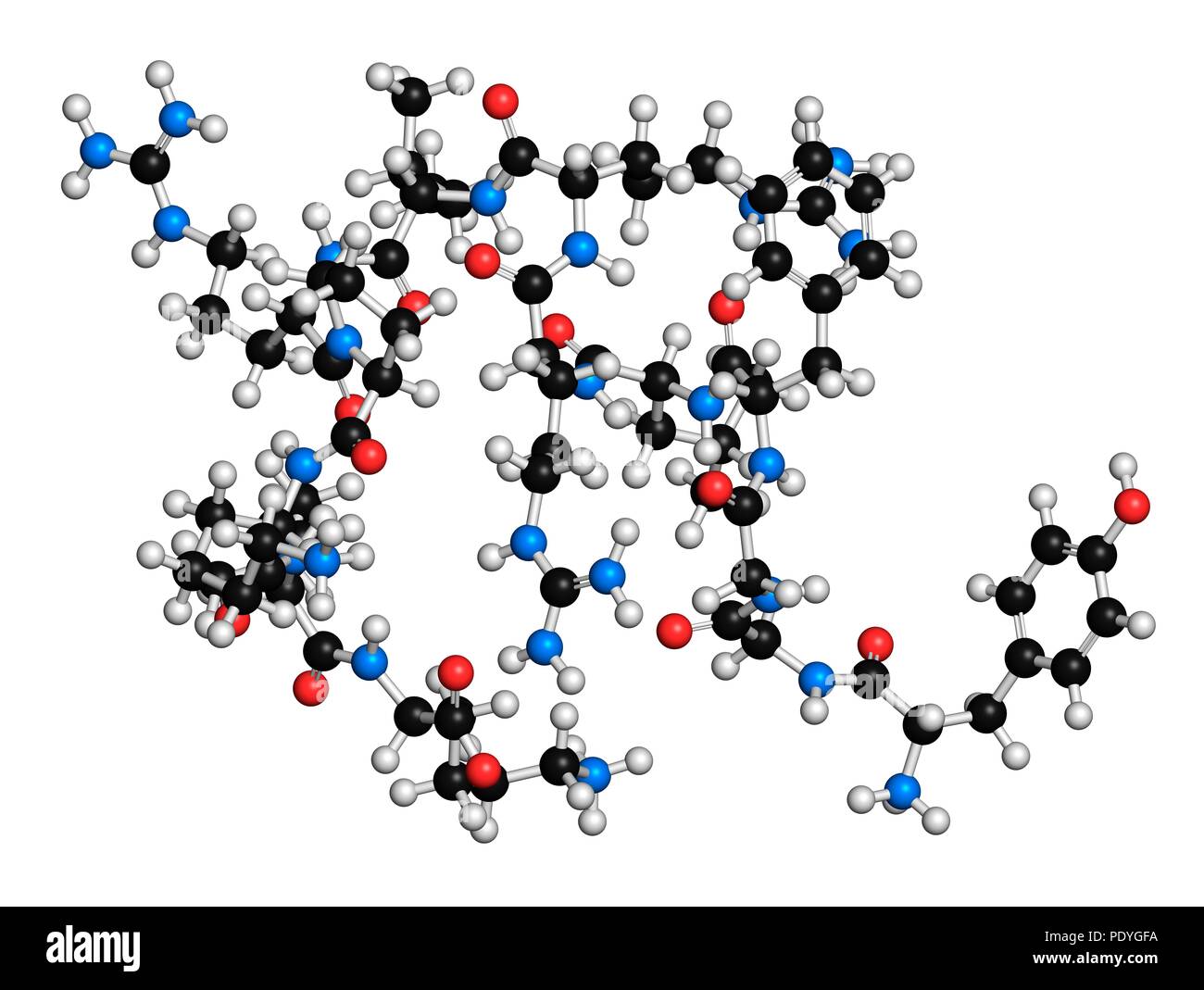 Dynorphin a endogenous opioid peptide molecule. 3D rendering. Atoms are ...