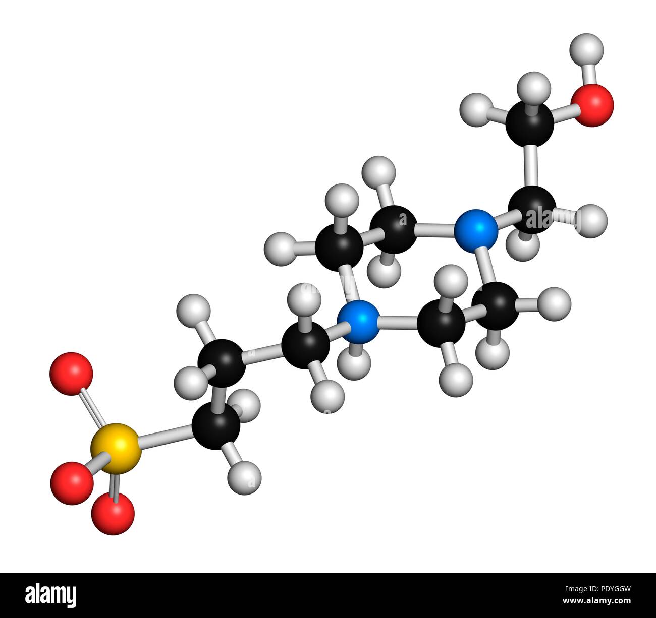 Hepes hi-res stock photography and images - Alamy