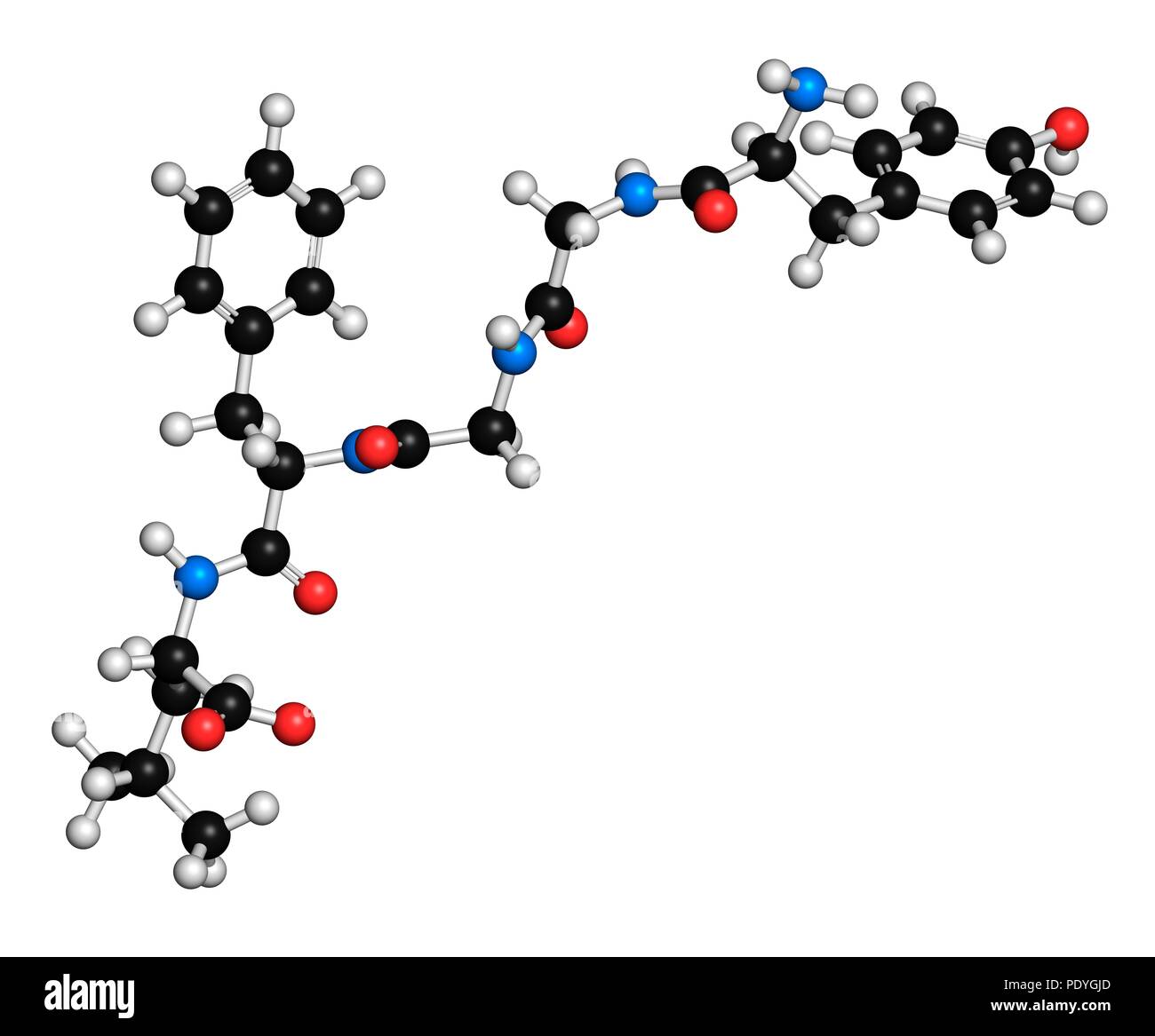 Leu-enkephalin endogenous opioid peptide molecule. 3D rendering. Atoms ...