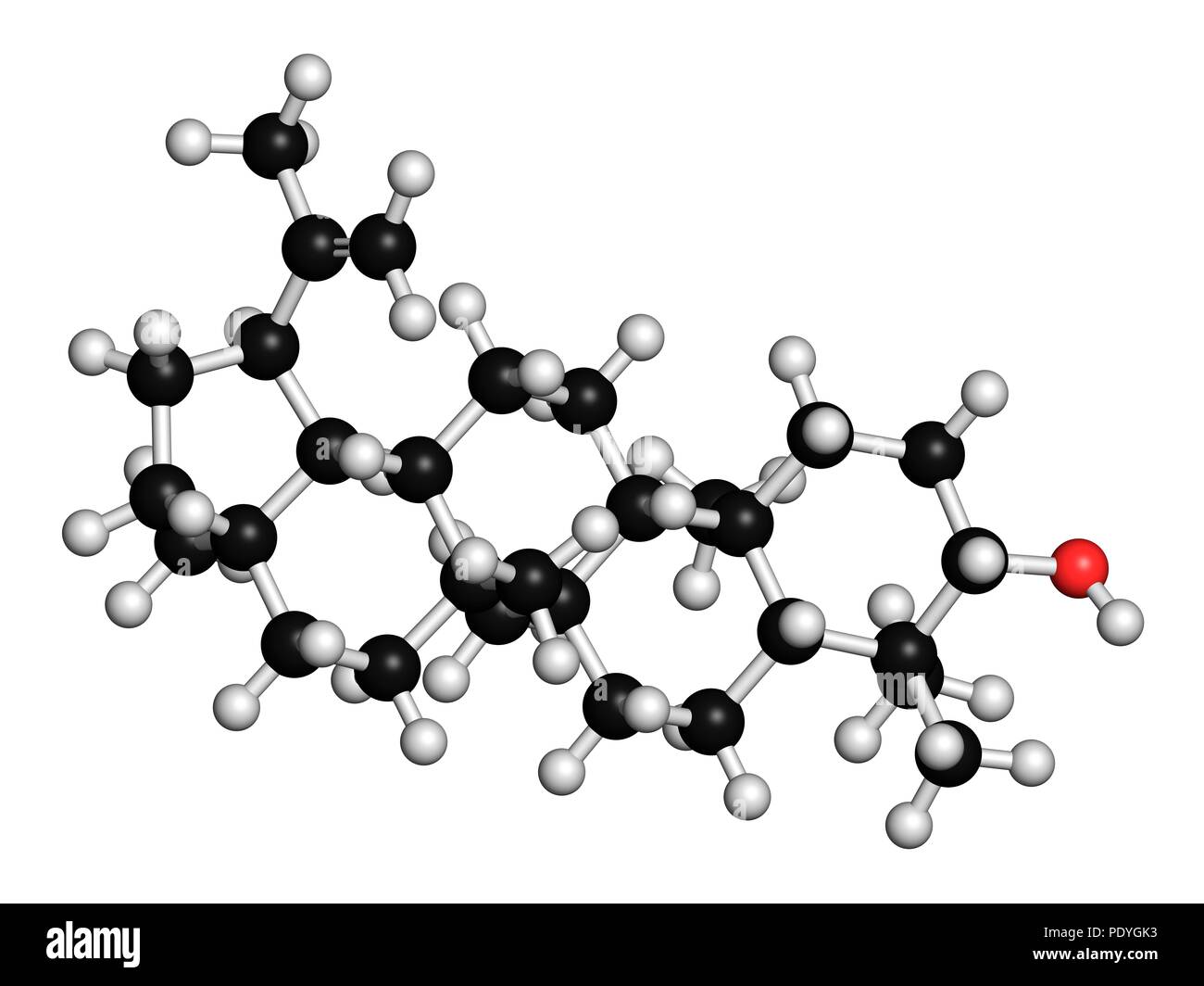 Lupeol molecule. 3D rendering. Atoms are represented as spheres with ...