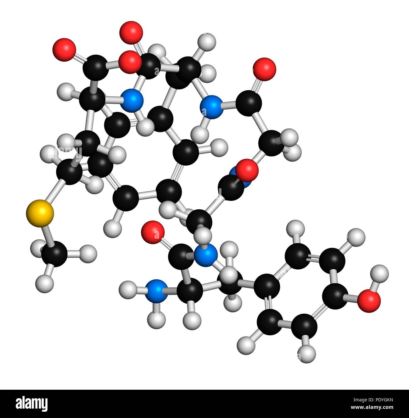 Met-enkephalin endogenous opioid peptide molecule. 3D rendering. Atoms ...