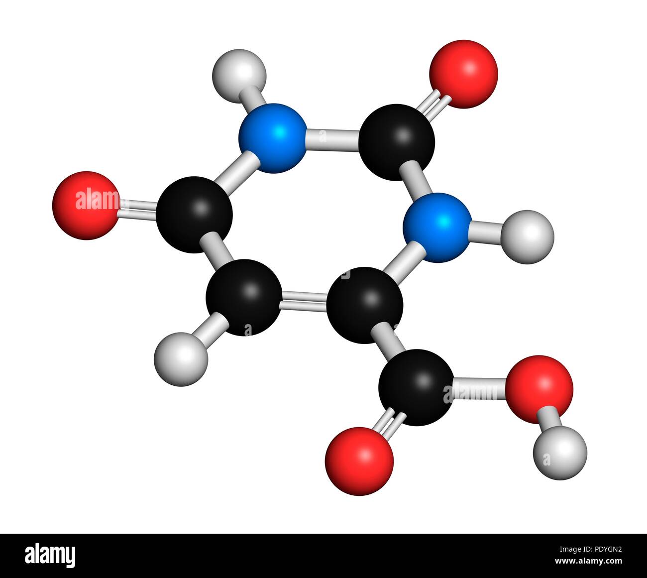 Orotic acid molecule. 3D rendering. Atoms are represented as spheres ...