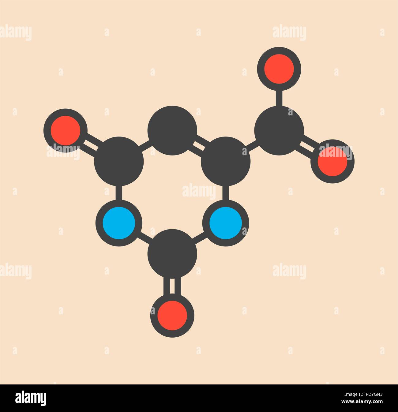 Orotic acid molecule. Stylized skeletal formula (chemical structure ...