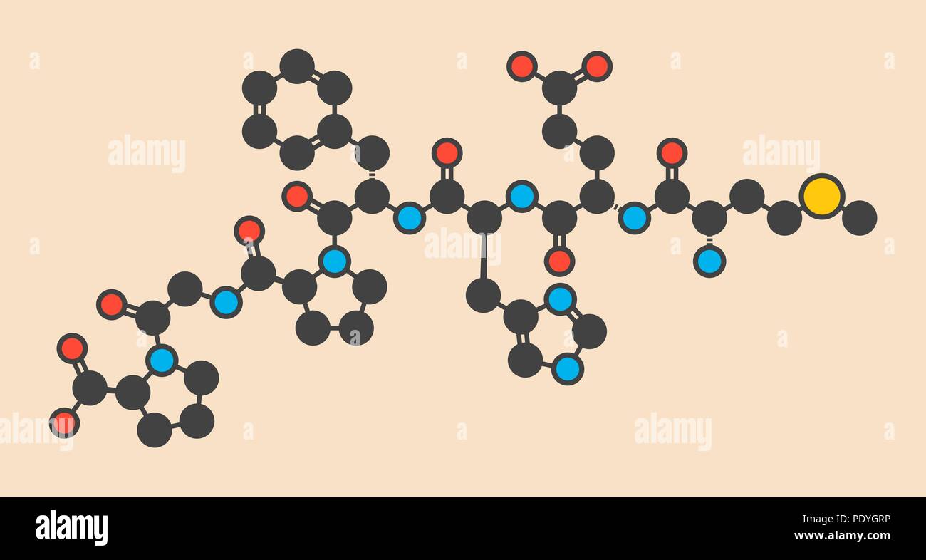 Semax peptide drug molecule. Stylized skeletal formula (chemical ...