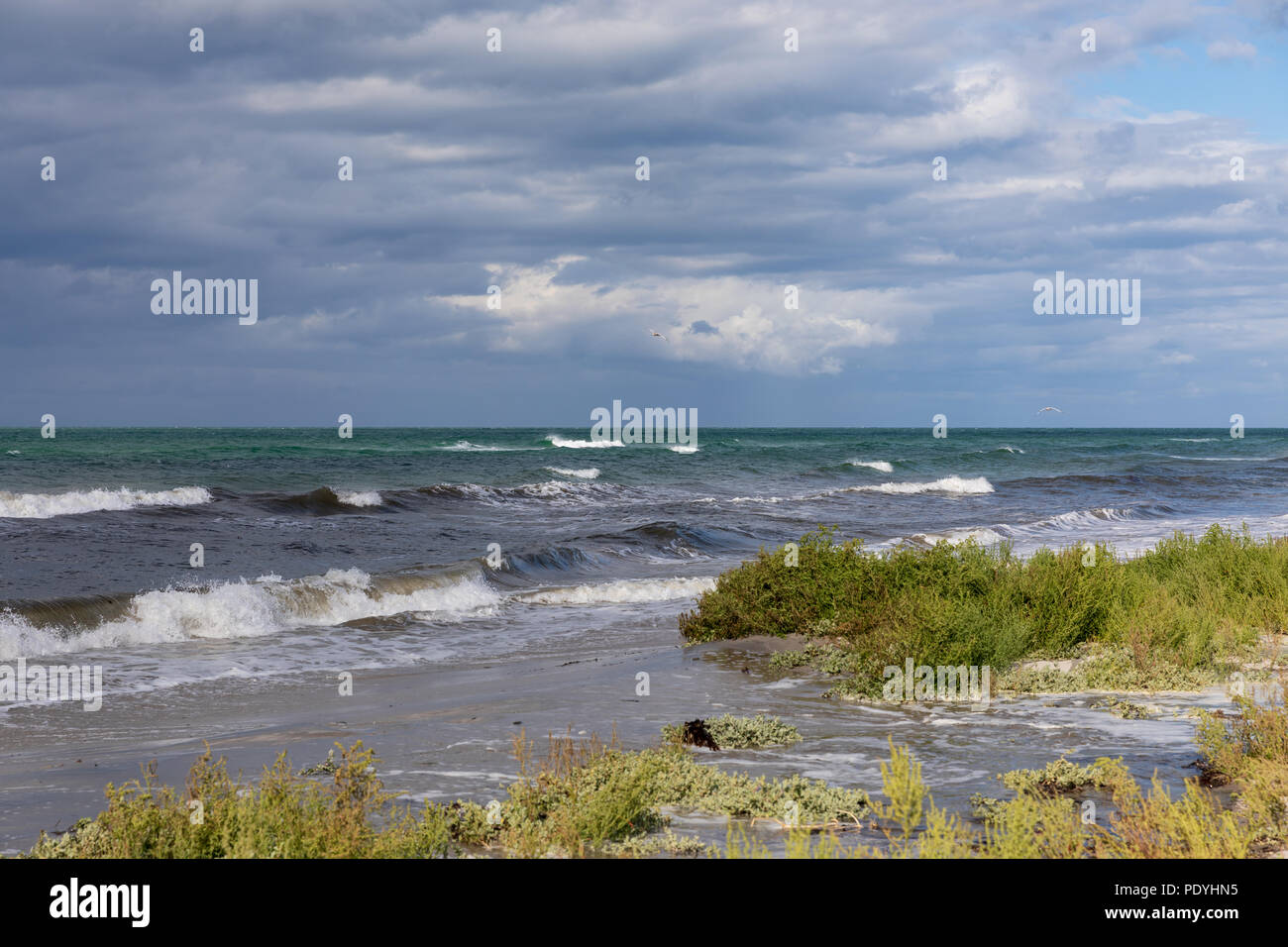 Beach; Danzigmann, Laesoe, Denmark Stock Photo - Alamy