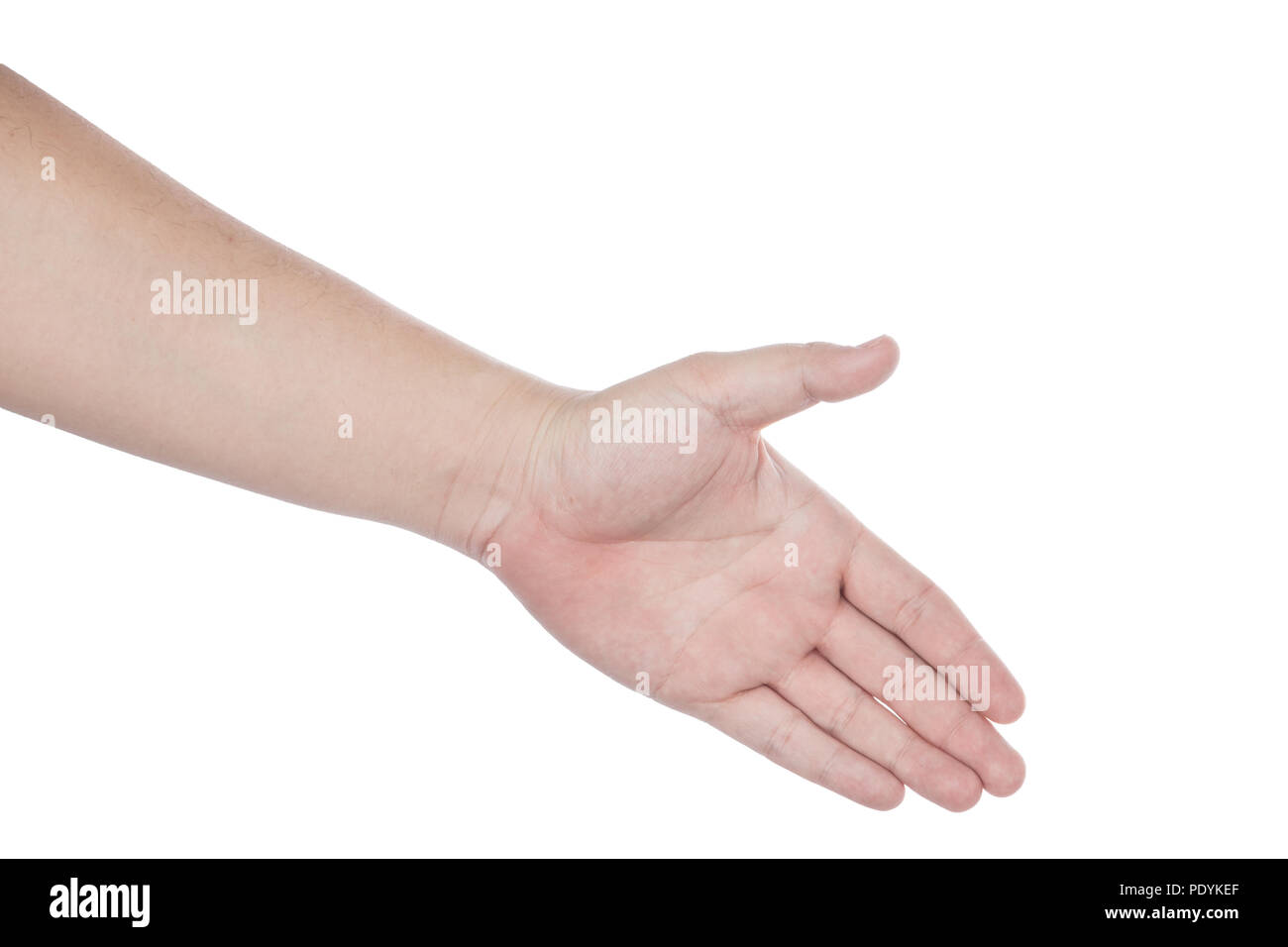 collection of woman hands on white background Stock Photo - Alamy