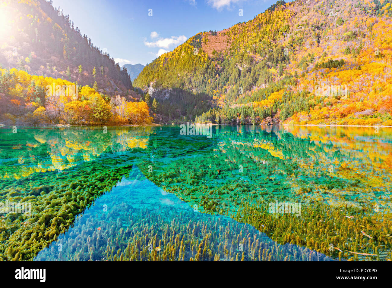 Five Flower Lake at autumn sunrise time. Jiuzhaigou nature reserve ...