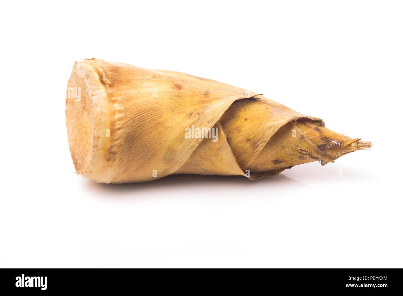 Bamboo Sheath High Resolution Stock Photography and Images - Alamy
