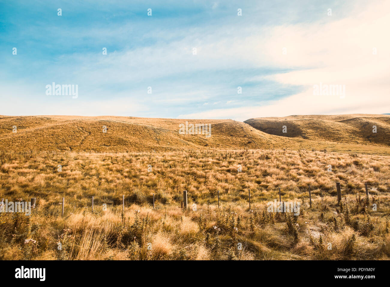 Grassfieldbackground hi-res stock photography and images - Alamy
