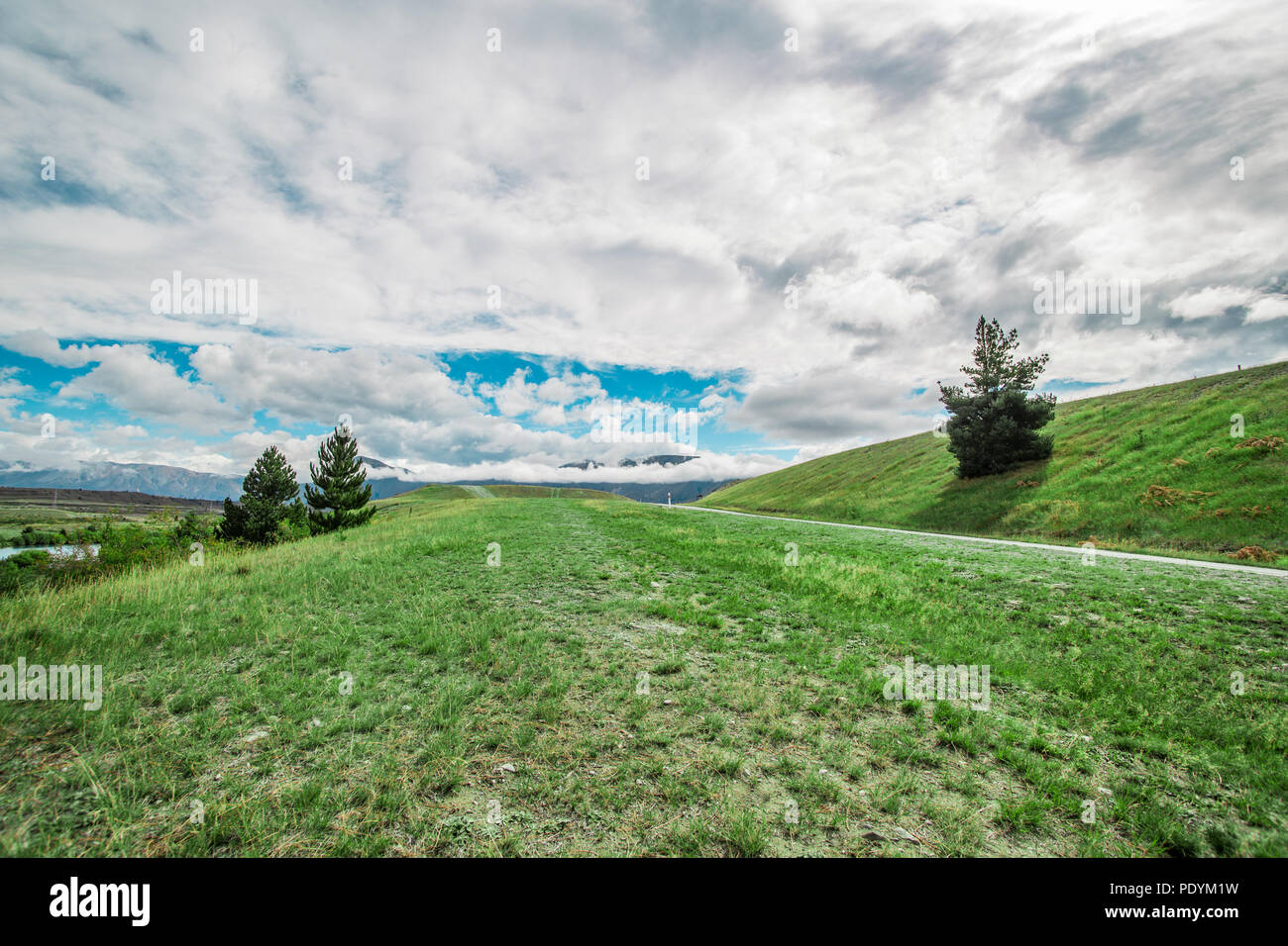 Grassfieldbackground hi-res stock photography and images - Alamy