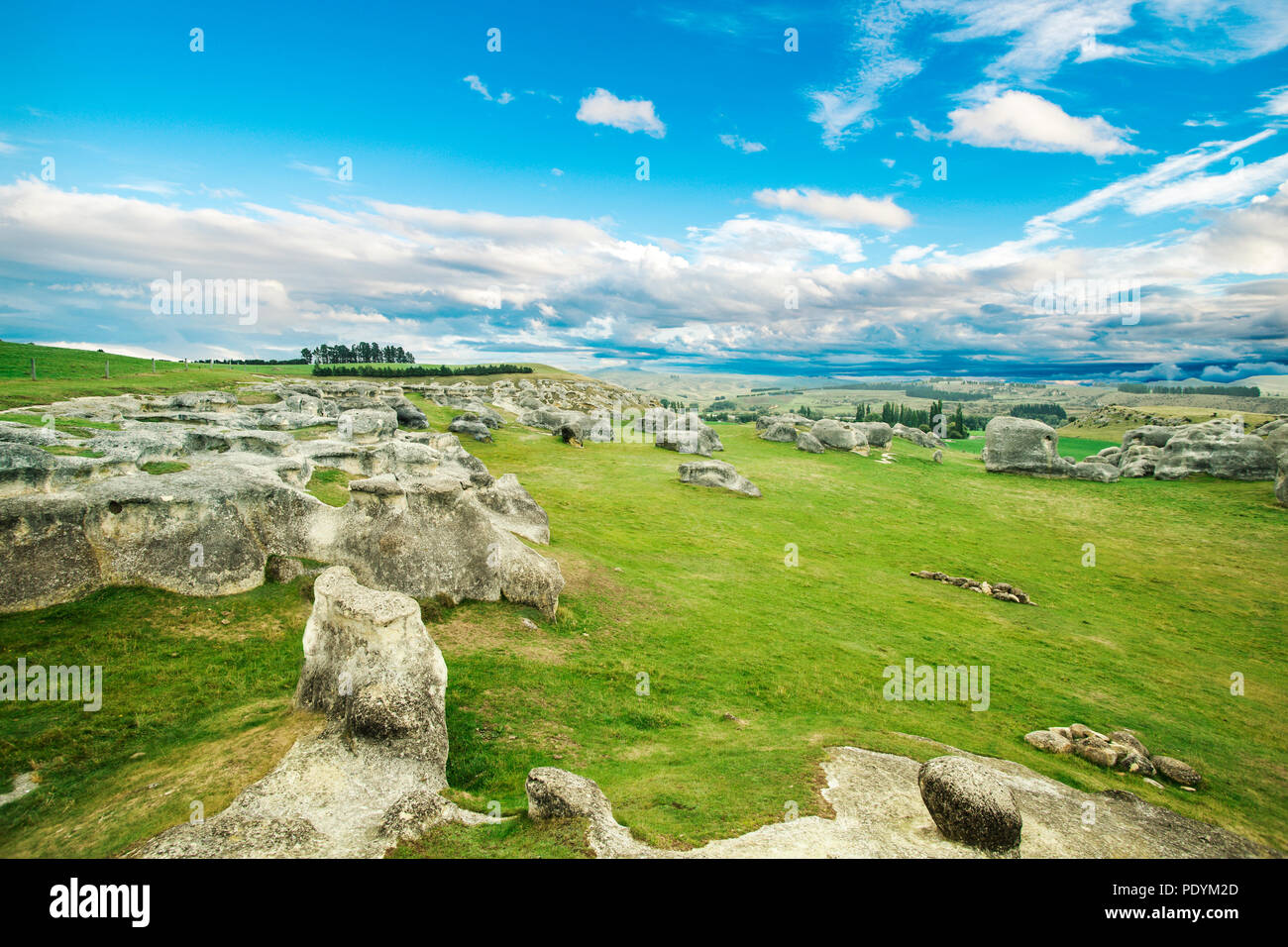 Waitaki elephant rocks hi-res stock photography and images - Alamy